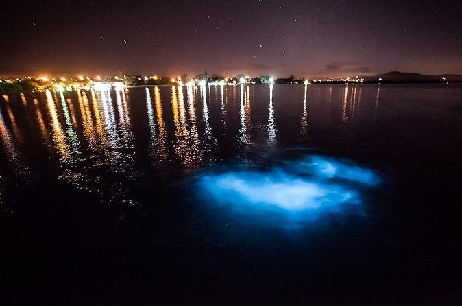 Luminous Lagoon Tour from Montego Bay - How to Make the Most of Your Visit