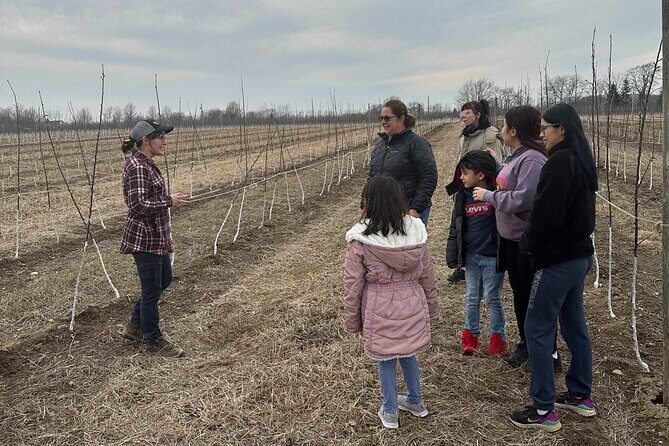 Lunch and Tour of an Apple Orchard with a Farmer in Elyria - A Detailed Look at the Apple Orchard Tour and Lunch in Elyria