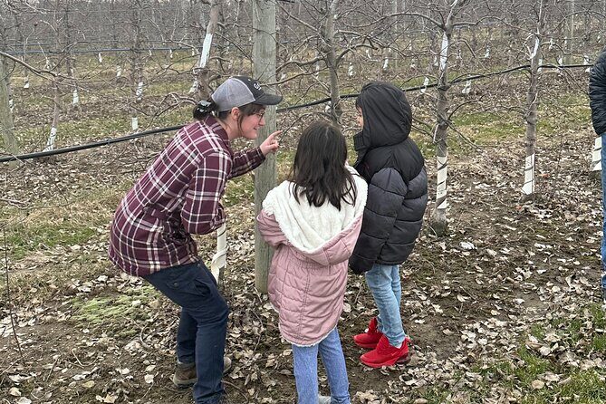 Lunch and Tour of an Apple Orchard with a Farmer in Elyria - Why This Tour Stands Out