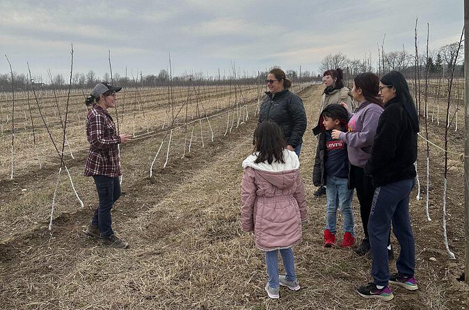 Lunch and Tour of an Apple Orchard with a Farmer in Elyria - The Practicalities: What You Need to Know