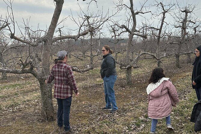 Lunch and Tour of an Apple Orchard with a Farmer in Elyria - Final Thoughts: Who Will Appreciate This Tour?
