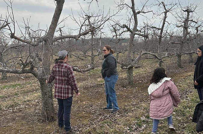 Lunch and Tour of an Apple Orchard with a Farmer in Elyria - FAQ: Your Questions Answered