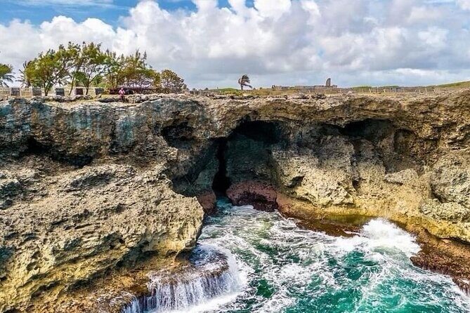 Lunch At Animal Flower Cave with Scenic Drive of Barbados - Is This Tour for You?