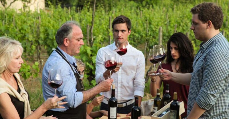 Lunch in the garden and Wine Tasting - Key Points
