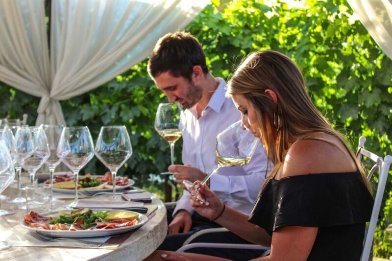 Lunch in the garden and Wine Tasting - Final Words
