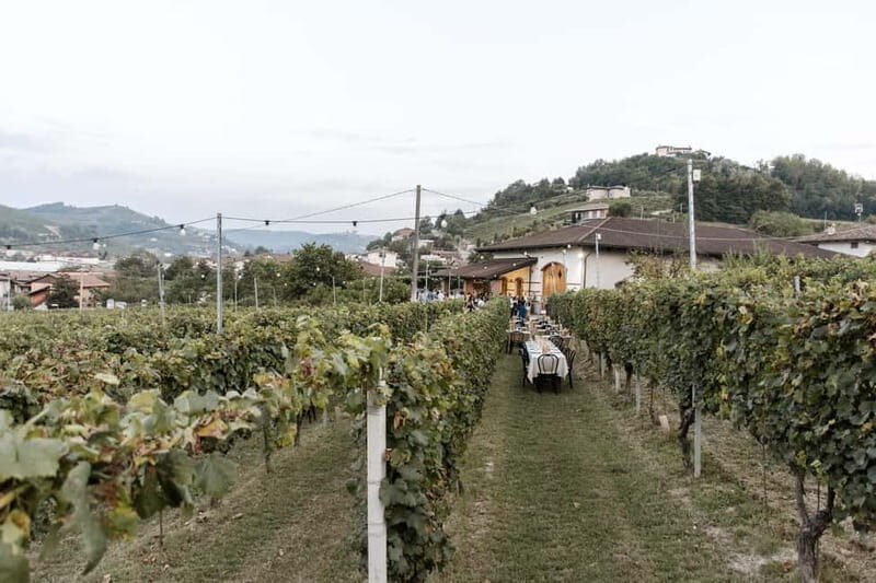 Lunch in the Vineyard in Alba - FAQ