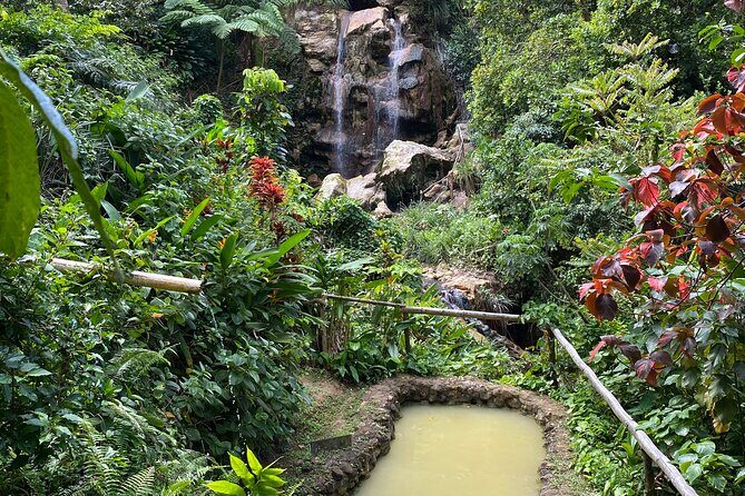 LUNCH INCLUSIVE Mud Baths, Waterfall & Tet Paul Nature Trail - Pricing & Value