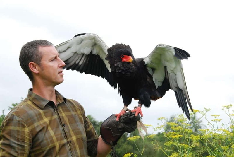 Lunch & Nature experience at Cumberland Bird of Prey Centre - An In-Depth Look at the Experience