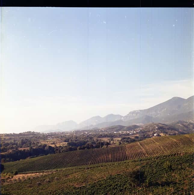 Lundër: Lundra Winery Guided Tour with Wine Tasting - Frequently Asked Questions