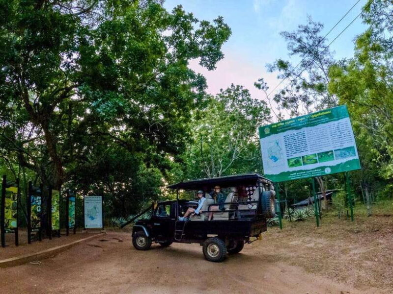 Lunugamwehera NP (Block VI) Morning Safari Game Drive - What Makes Lunugamwehera NP (Block VI) Special?