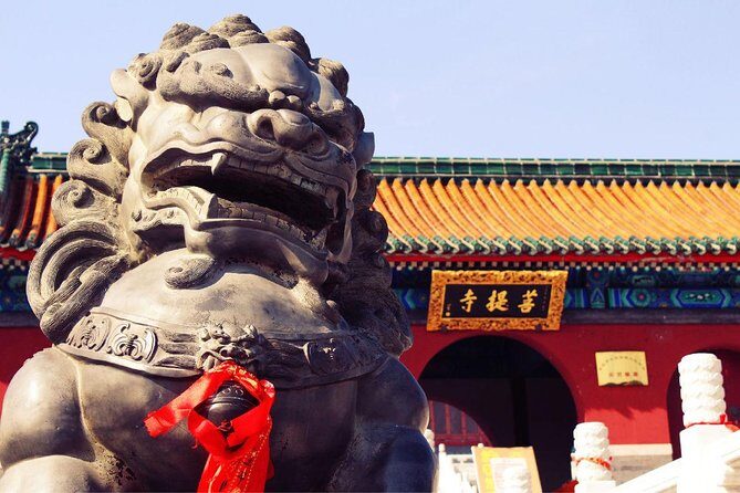 Luoyang Private Tour to Shaolin Temple including Kungfu Lesson - Who Will Enjoy This Tour?