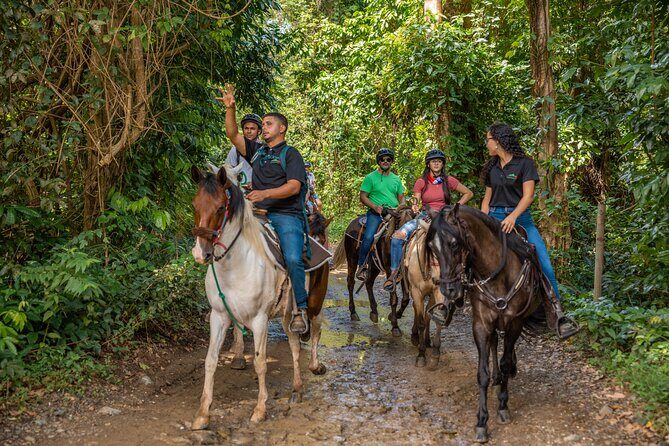 Luquillo Beach Horse Ride from Carabalí Rainforest Adventure Park - An Overview of the Experience