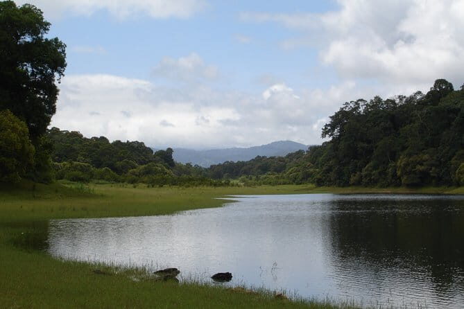 Lush Malabar Coast And Colorful Kerala - A 6 Day Private Tour - An In-depth Look at This 6-Day Kerala Tour