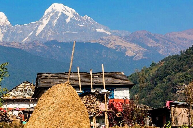 Luwang Village Home Stay Easy Trek with Tea Garden Visit - The Itinerary in Detail