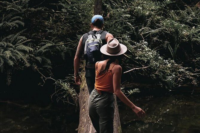 Lux Great Ocean Road Tour Reverse - Max 11 Hotel Pickup - Summary