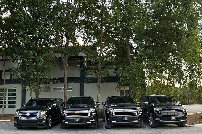 Luxe Black Car Transfer  Cap Cana, Bavaro & Punta Cana Airport - Final Thoughts