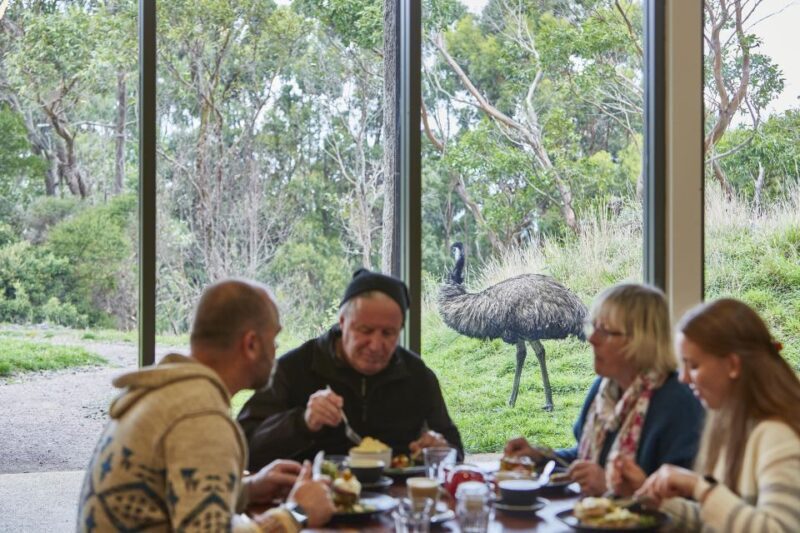 Luxe Bus Great Ocean Road Coastal Spectacular - An In-Depth Look at the Experience