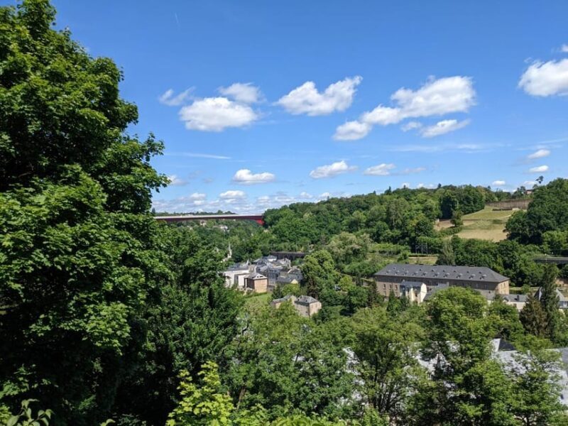 Luxembourg City: The Best of Guided E-Bike Tour in 3 Hours - Comfort, Convenience, and Group Dynamics