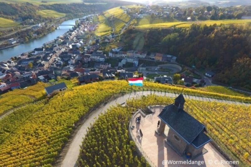 Luxembourg: Moselle Day Trip with Wine Tasting and Boat Tour - Key Points