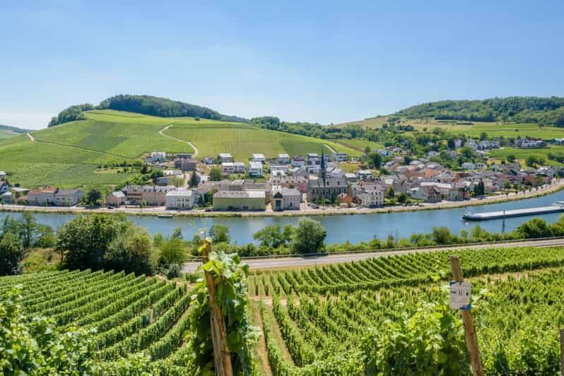 Luxembourg: Moselle Day Trip with Wine Tasting and Boat Tour - An In-Depth Look at the Moselle Day Trip