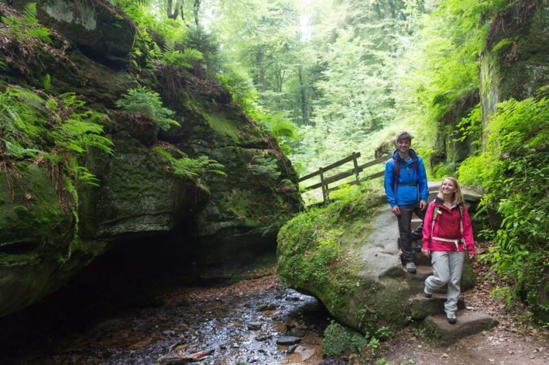Luxembourg: Nature, History and Castles Full-Day Tour - An Overview of the Tours Allure