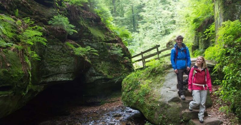Luxembourg: Nature, History and Castles Full-Day Tour - What Travelers Are Saying