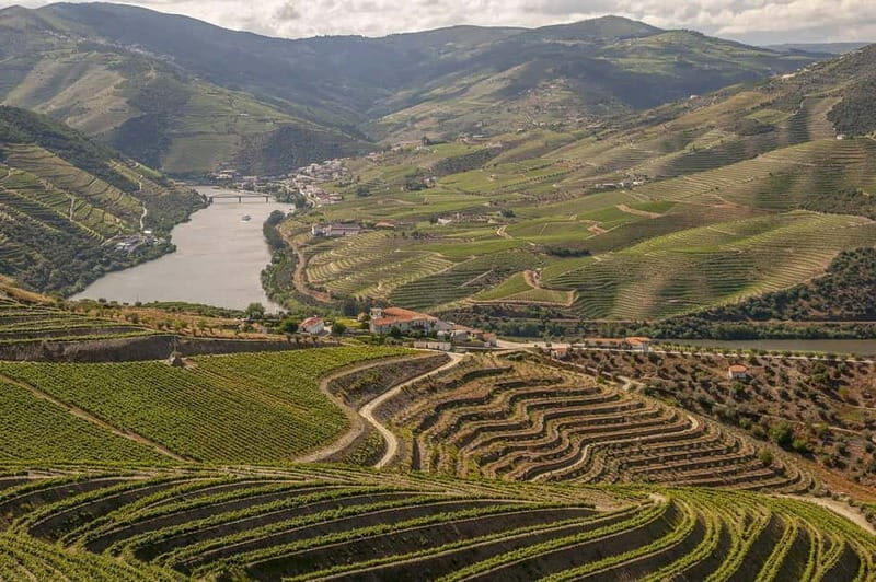 Luxurious Daytrip Lisbon to Douro Valley with Optional Stops - Key Points