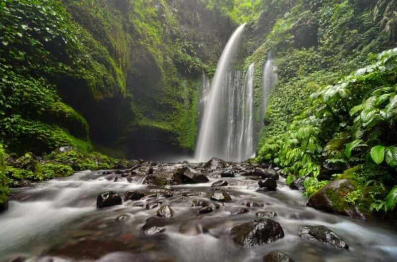 luxurious sendang gila, tiukelep waterfal & selong hill tour - Who Should Consider This Tour?