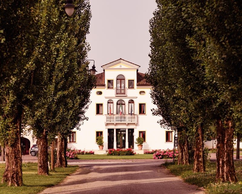 Luxurious Wine Experience: Savor Venetian Best Vineyards - Key Points