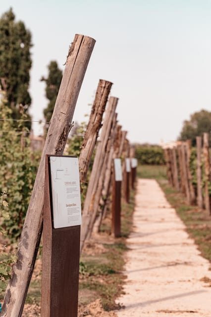 Luxurious Wine Experience: Savor Venetian Best Vineyards - FAQ
