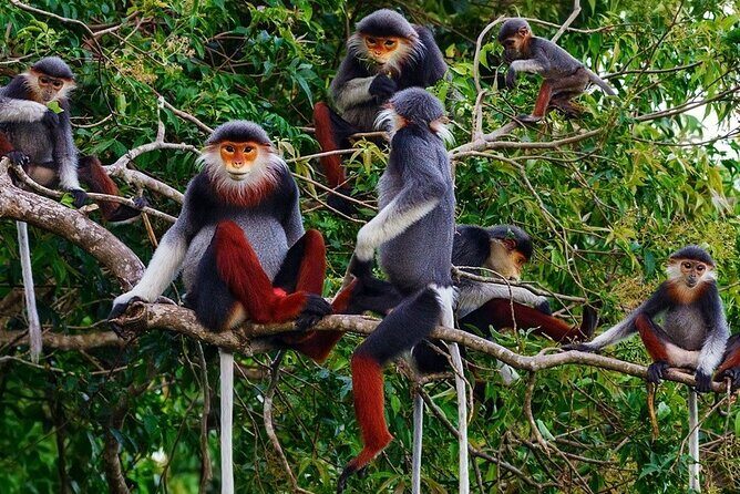 Luxury 2 Day 1 Night Private Tour of Ninh Binh - Who Should Consider This Tour?