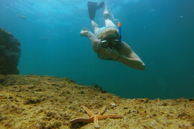 Luxury 42' Yacht Tour in Cabo for Snorkeling and Sunset - The Cost and Value