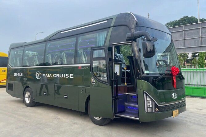 Luxury 5 Star Day Cruise Local Cuisine Jacuzzi and Sunset Party - Who Will Love This Tour?