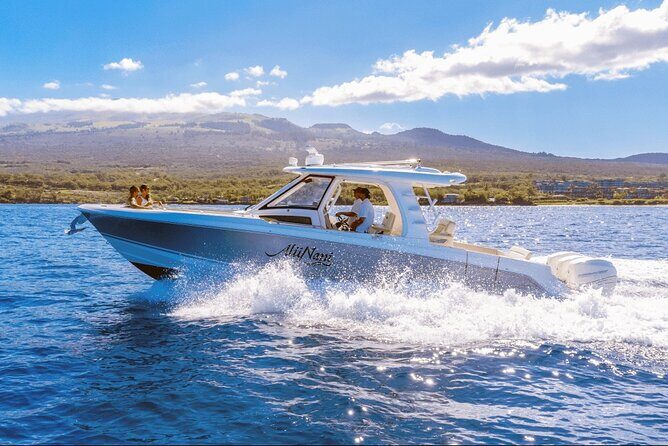 Luxury 6 passenger Boston Whaler Private Charter - Key Points