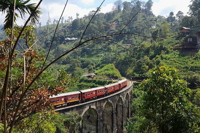 Luxury 7 Days Cultural Triangle Tour in Sri Lanka - Day 2: Ancient Capitals and Sacred Trees