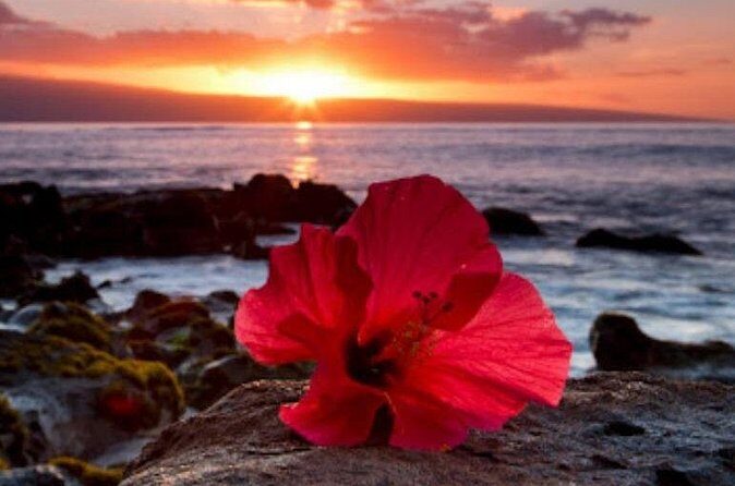 Luxury Airport Transfer in Hawaii - Additional Details and Practical Tips