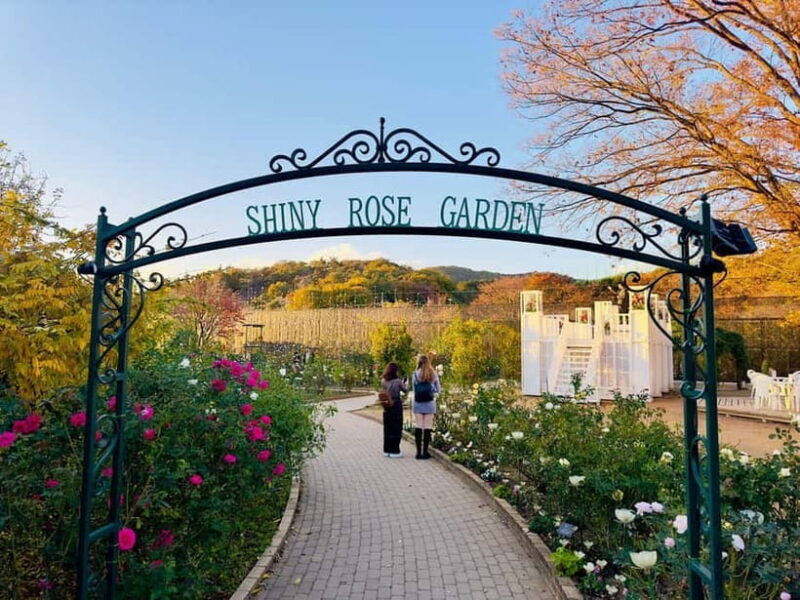 Luxury Ashikaga Flowers Park Tour With Pickup & Drop off - The Sum Up