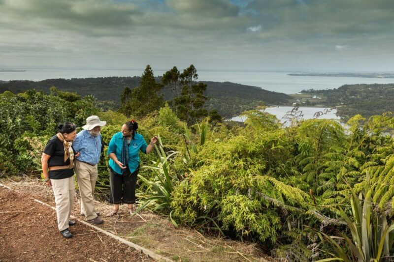 Luxury Auckland Maori Tour - The West Coast Wilderness: Nature’s Untamed Side