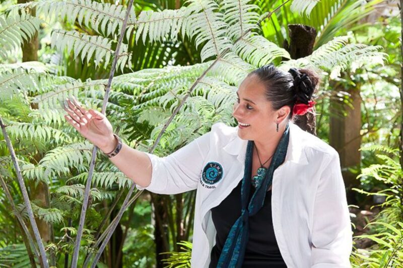 Luxury Auckland & West Coast Day Tour with Maori Guide - Key Points