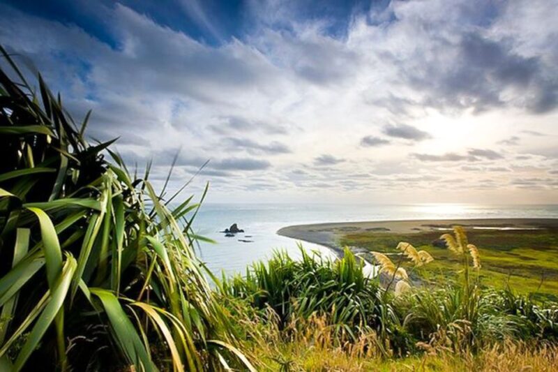 Luxury Auckland & West Coast Day Tour with Maori Guide - The Sum Up