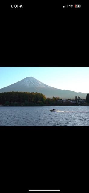 Luxury Benz Private Day Trip to Mount Fuji with Guide - Frequently Asked Questions