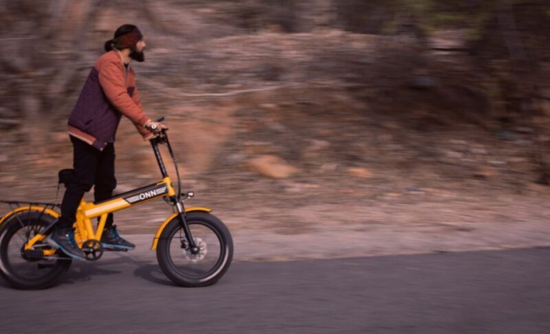 Luxury Boat ride, Havelis, Heritage Walk & High Tea - Practical Details and Tips