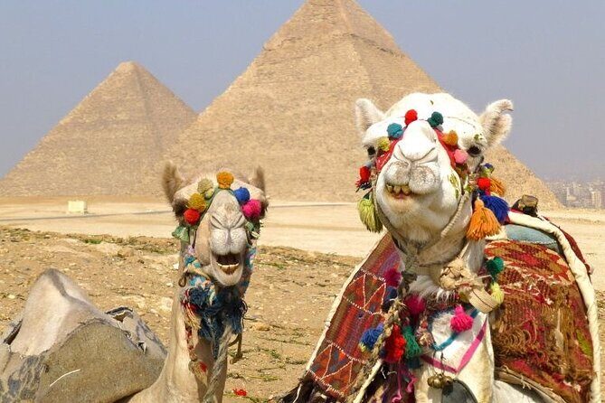 Luxury Camel Ride Around Giza Pyramids with Panoramic view - An In-Depth Look at the Experience