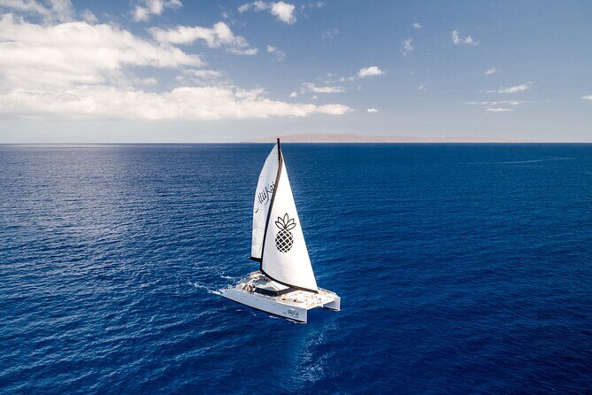 Luxury Catamaran Royal Sunset Dinner Sail (Adults-Only) - Introduction