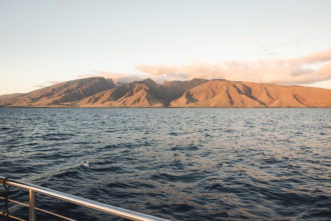 Luxury Catamaran Royal Sunset Dinner Sail (Adults-Only) - Key Points