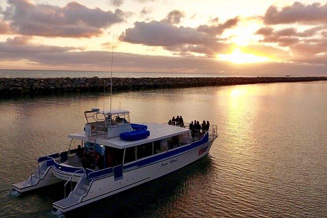 Luxury Catamaran Sunset and Wine Cruise from Dana Point - A Closer Look at the Dana Point Sunset and Wine Cruise