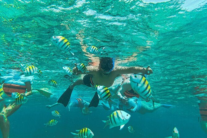 Luxury Catamaran to Isla Mujeres All Inclusive Open Bar Buffet - Practical Details and Value