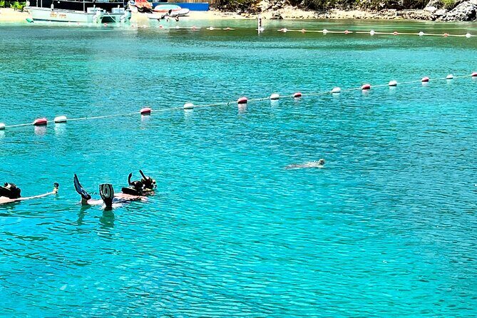 Luxury Catamaran Turtle Snorkel & Sunset Cruise - The Sum Up