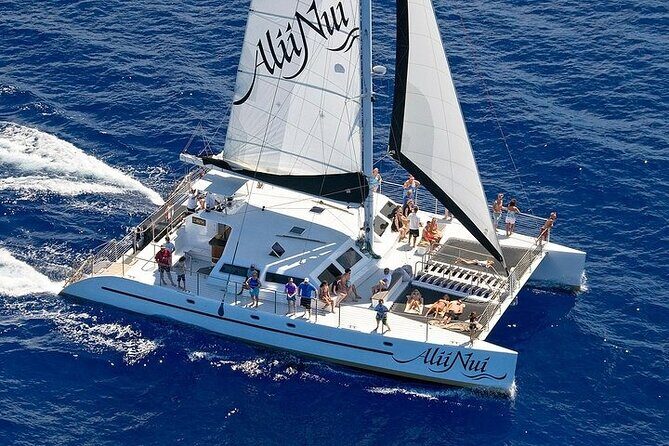 Luxury Catamaran Whale Watch - An In-Depth Look at the Experience