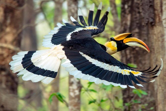 Luxury Chitwan Jungle Safari - 3 Days - Key Points